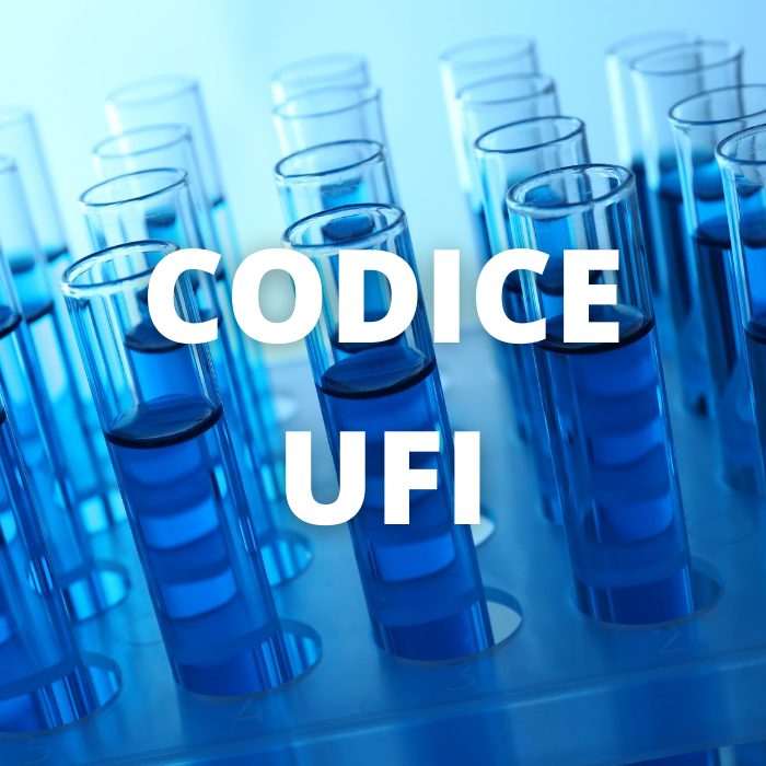 Codice ufi 2021-2024 - Professional Academy
